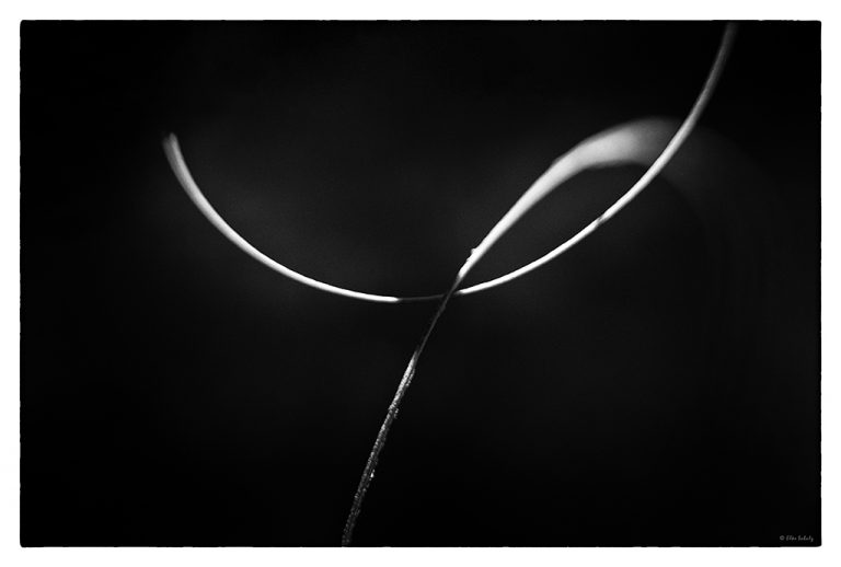 Floating - Elke Schulz Photography